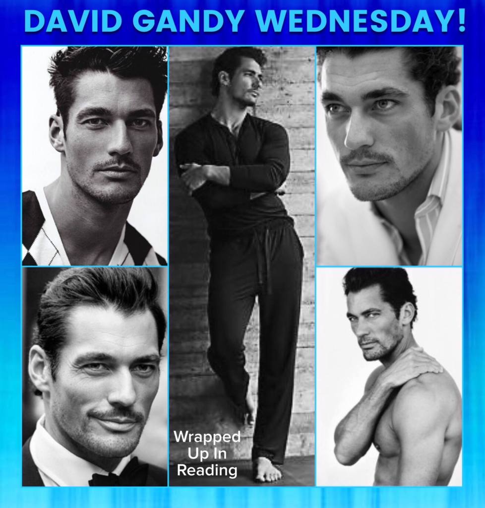 DAVID GANDY WEDNESDAY – Wrapped Up In Reading